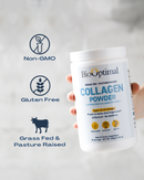 BioOptimal Collagen Powder - 30 Servings | BioOptimal Supplements